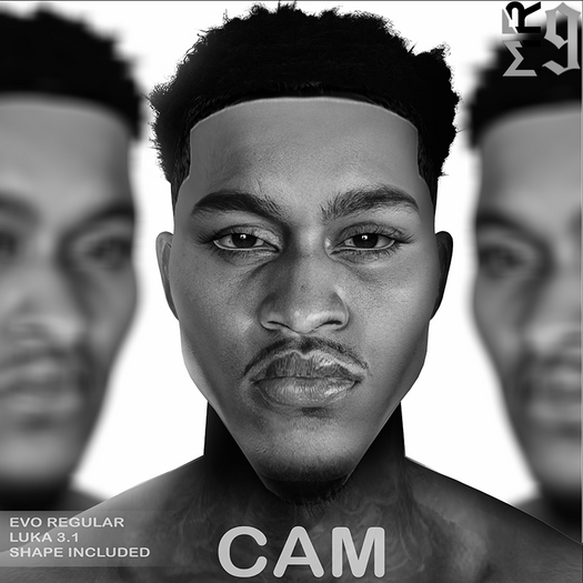 Second Life Marketplace Cam Skin Demo